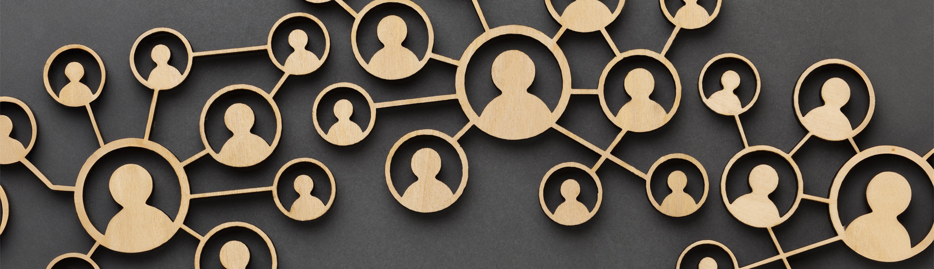 Tabsa - Transbordadora Austral Broom